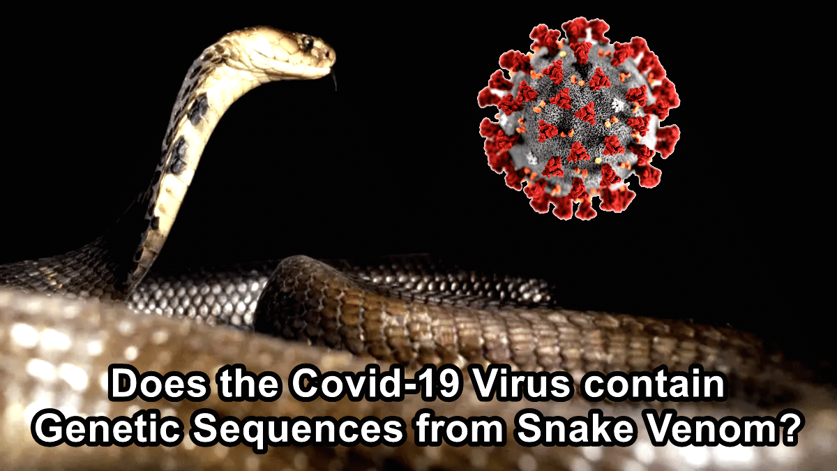 Does the Covid-19 Virus contain Genetic Sequences from Snake Venom ...