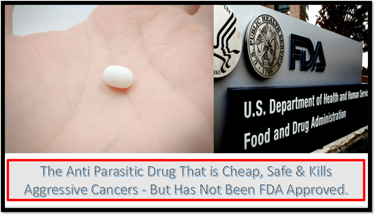 The Anti Parasitic Drug That is Cheap, Safe & Kills Aggressive Cancers ...