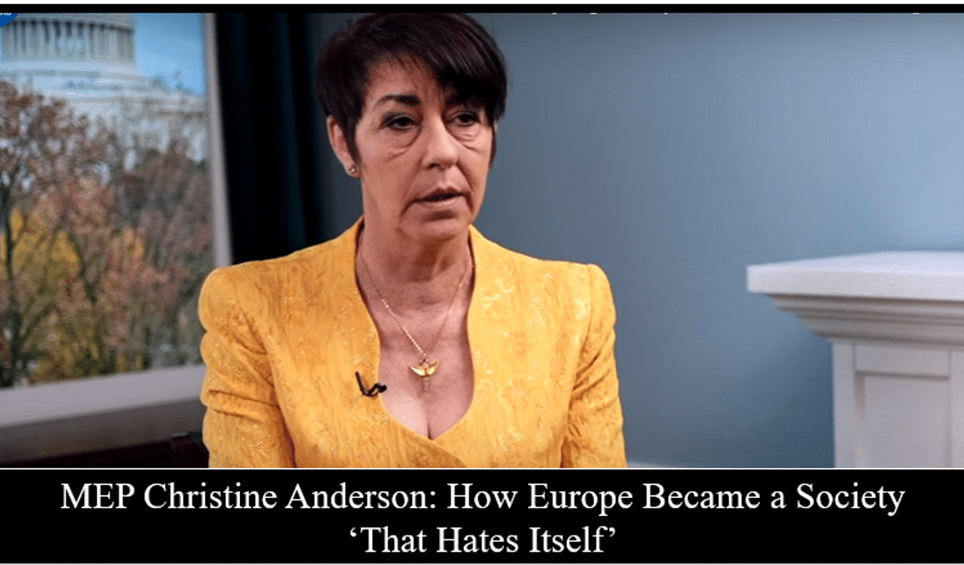 MEP Christine Anderson: How Europe Became a Society ‘That Hates Itself ...