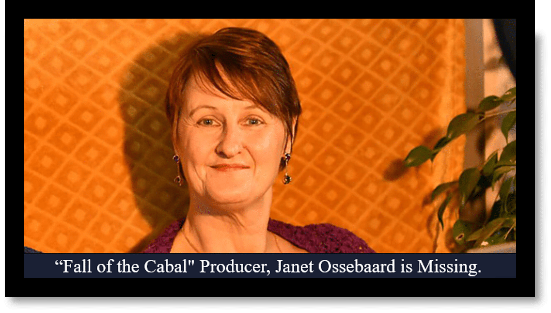 “Fall of the Cabal” Author, Janet Ossebaard is Missing. - The Expose