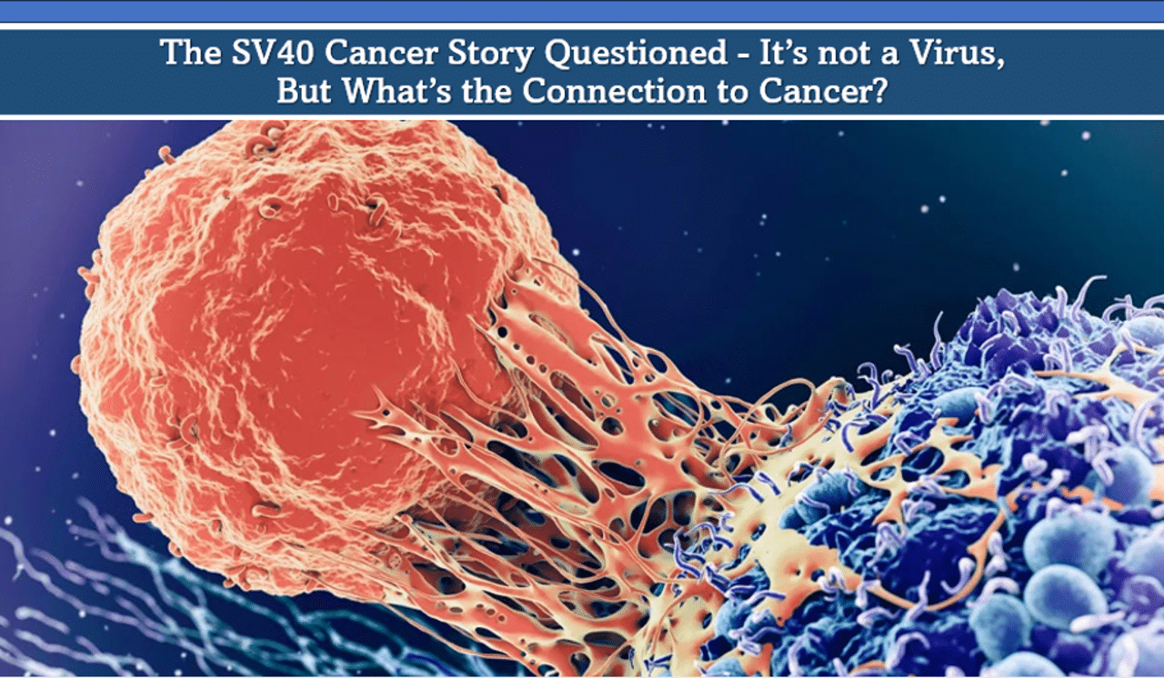 The SV40 Cancer Story Questioned – It’s not a Virus, But What’s the ...
