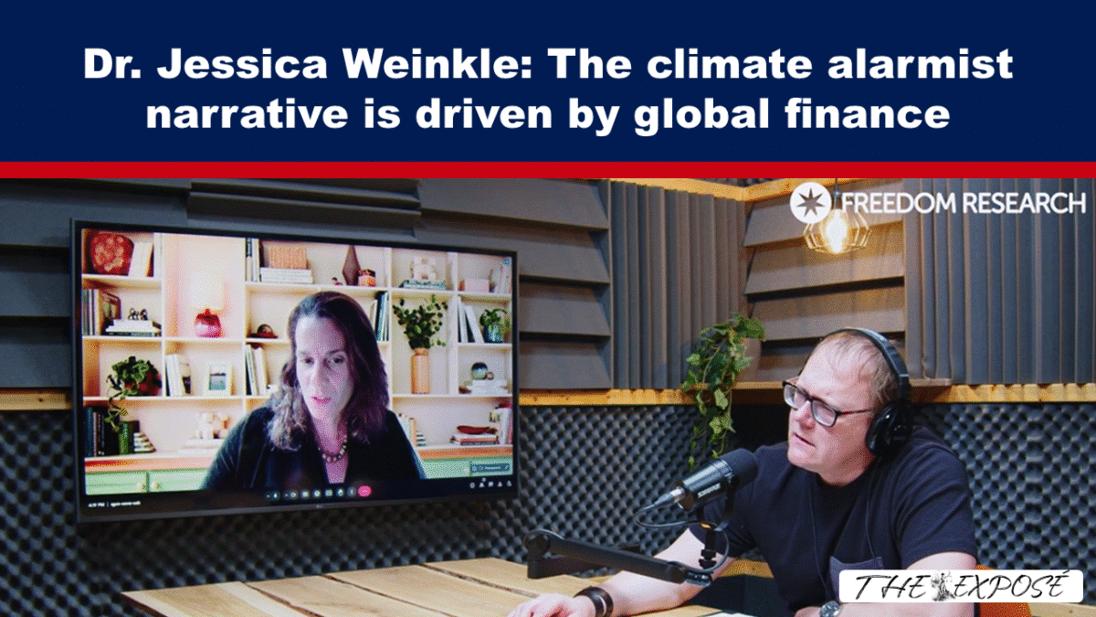Dr. Jessica Weinkle: The climate alarmist narrative is driven by global ...